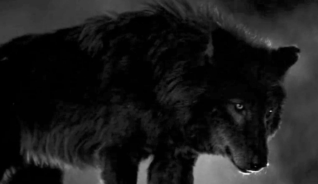 Wolfen (1981) – NYC in Film