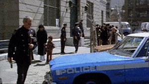 Fort Apache the Bronx (1981) – NYC in Film